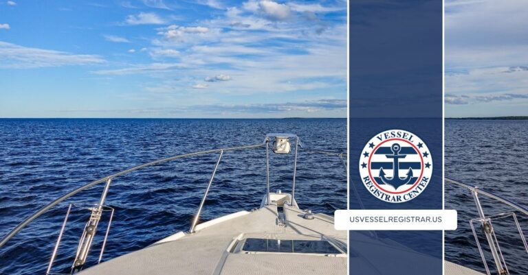 NVDC Forms: What are the Forms You Must Know?